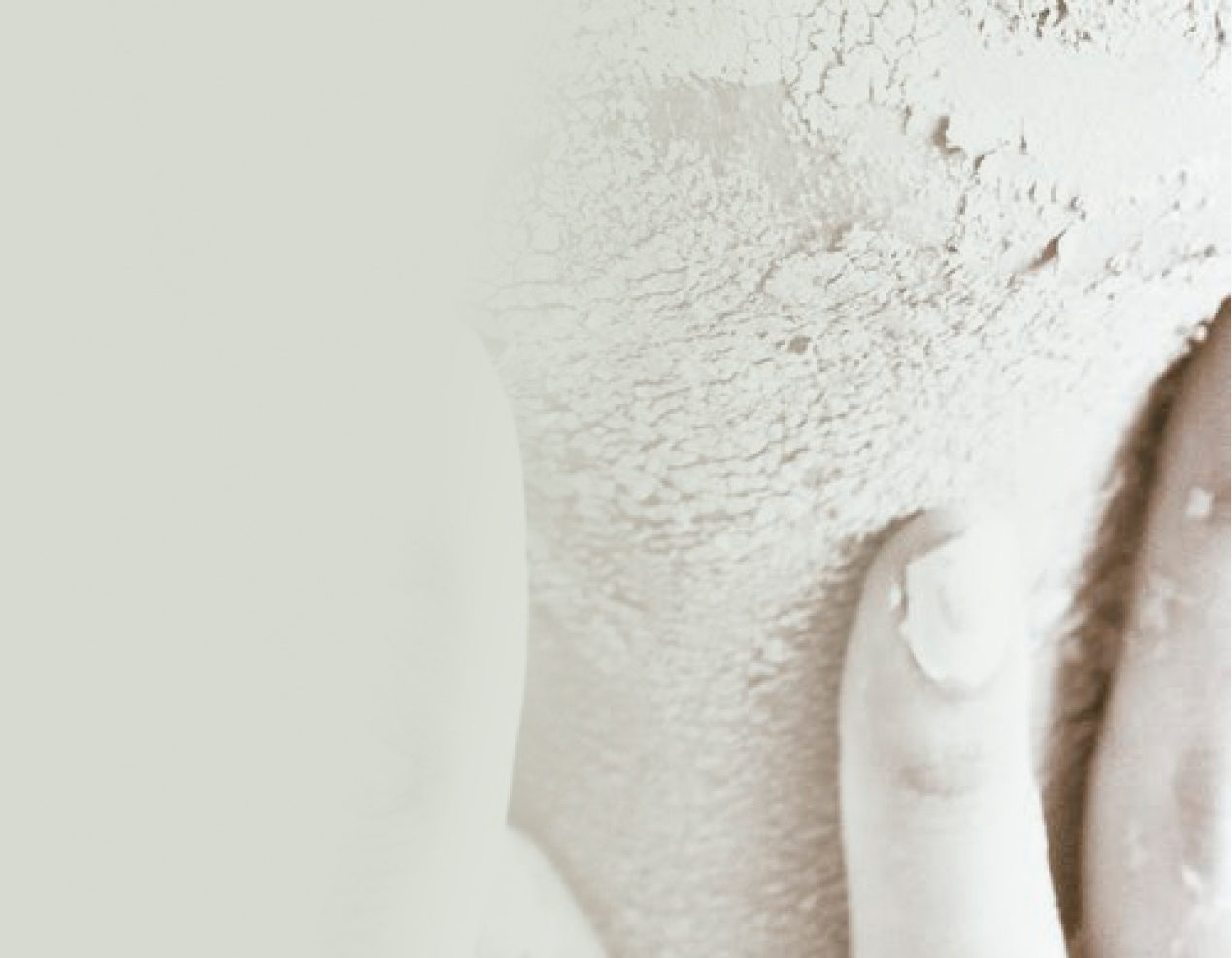 Productos – Prosil