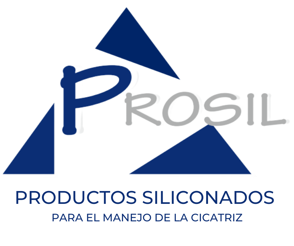 Productos – Prosil